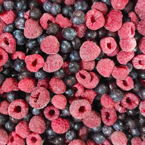 IQF Mixed Berries_JOYWAY